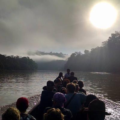 Gallery | plant dieta and ceremony in Peru | John Patton