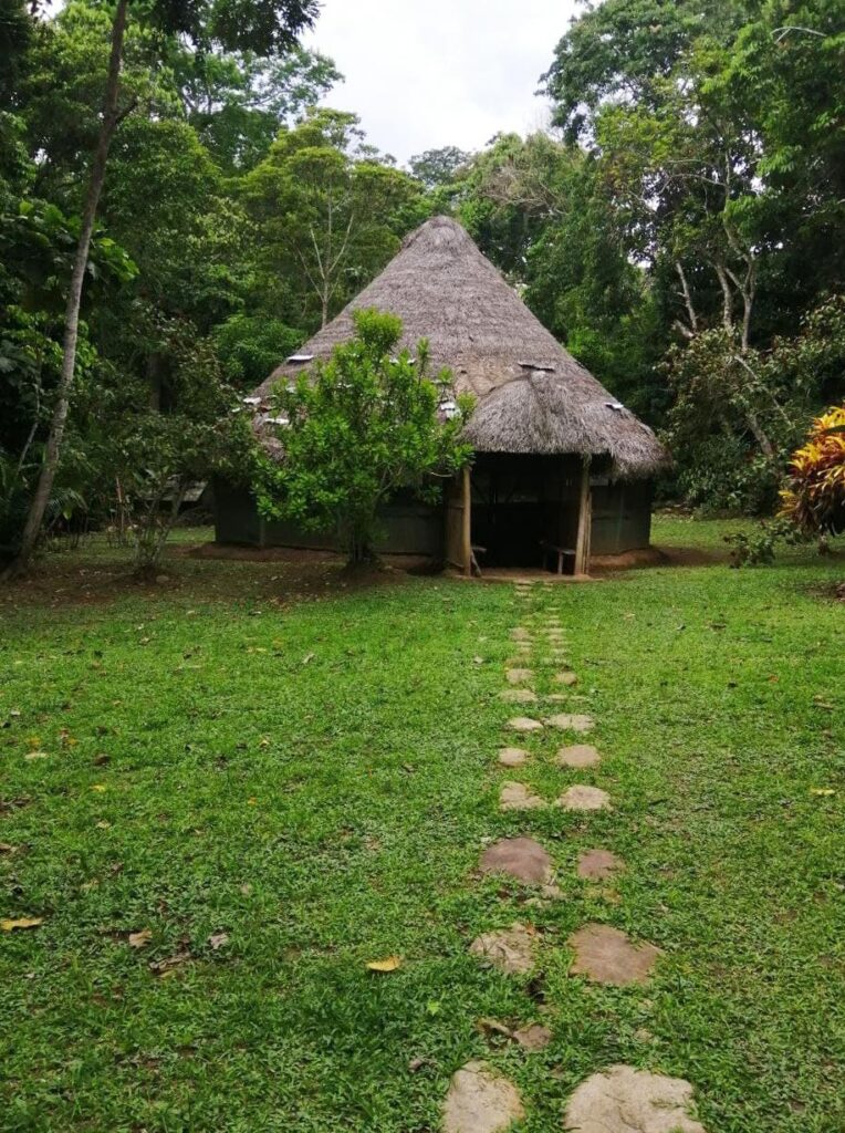 Gallery | plant dieta and ceremony in Peru | John Patton